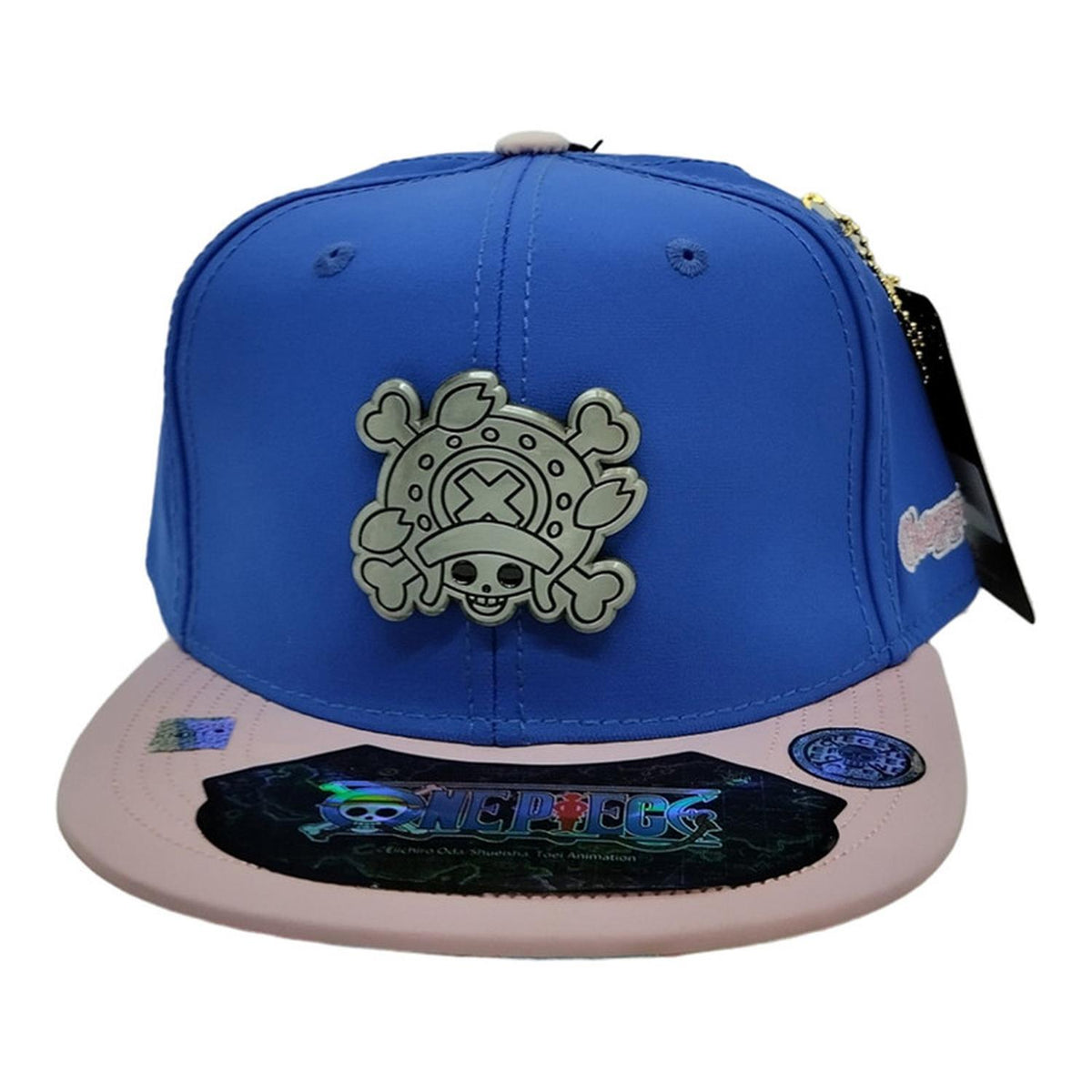 Kndit Caps Gorra Azul Con Lila Placa Plateada Mate Chopper One Piece ...